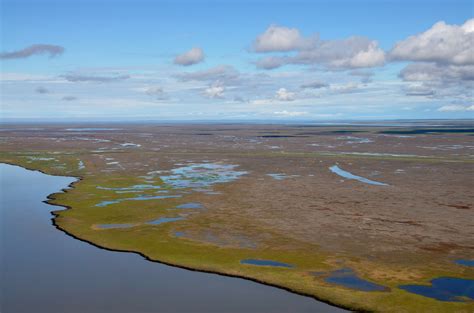 Ecological Dead Zones Opus