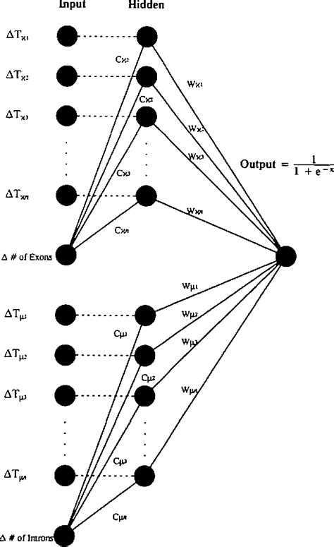 Figure 2 From Identification Of Coding Regions In Genomic Dna Sequences
