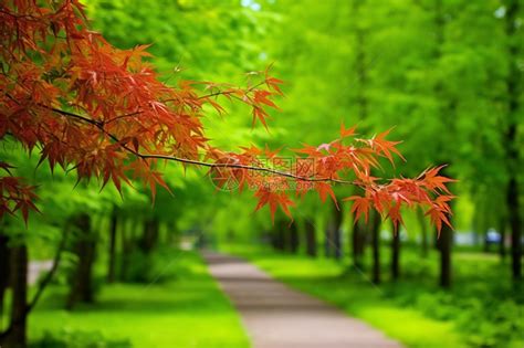 自然风景画高清图片下载 正版图片600783881 摄图网