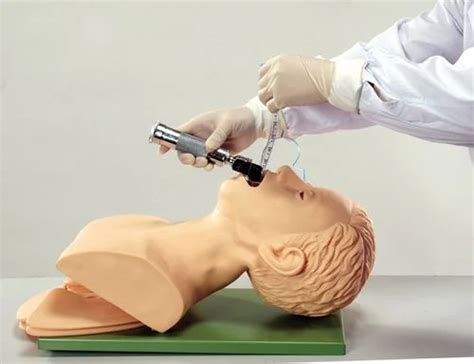 Pvc Human Tracheal Intubation Model For Medical Science Training For First Aid And Hospital Usage