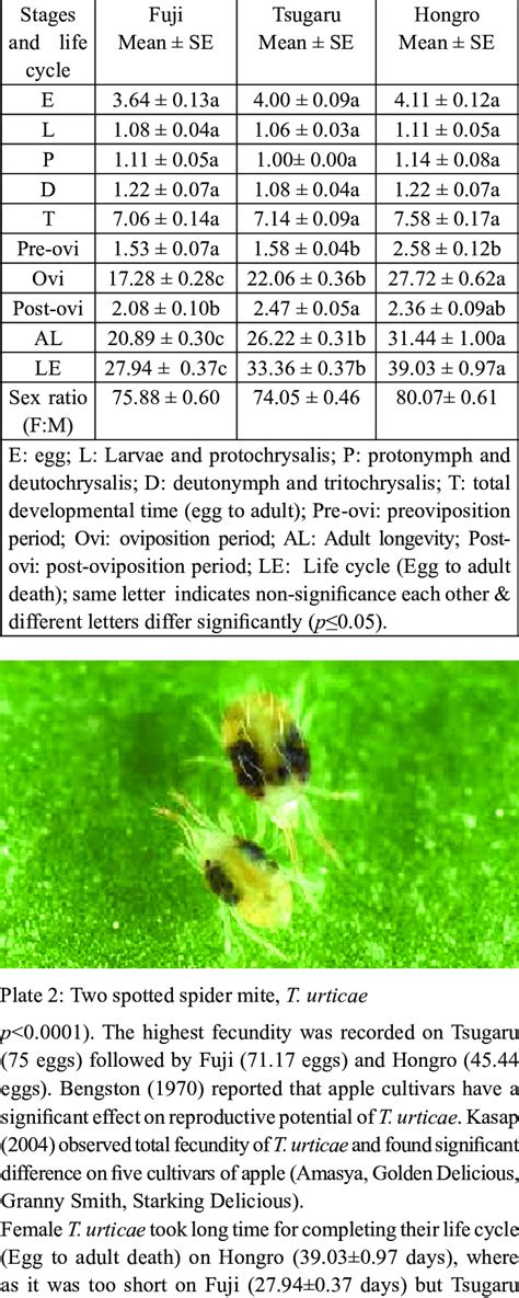 Developmental Time Adult Longevity Reproductive Phases Day Download Table