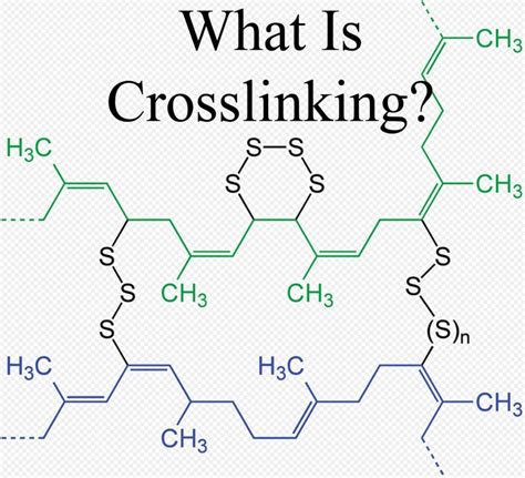 Finding Crosslinked Polymers Methods Analysis And Applications