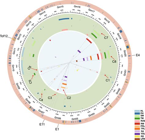 Circular Map Of The Quantitative Trait Locus Qtl Positions Of Shoot