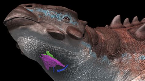 What Sounds Did Dinosaurs Make The New York Times