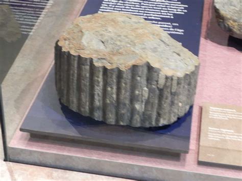 Joggins Fossil Cliffs In Nova Scotia Canada Member Stories