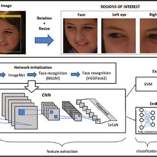 Training Progress Of The Convolutional Neural Networks CNNs For