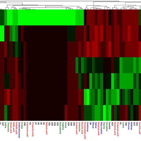 Hierarchical Cluster Analysis Heat Map Representing The Diversity And