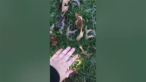 Grass Touchgrass Youtube