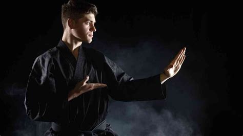 Shuri Ryu Karate History Kata Belt System All You Need To Know