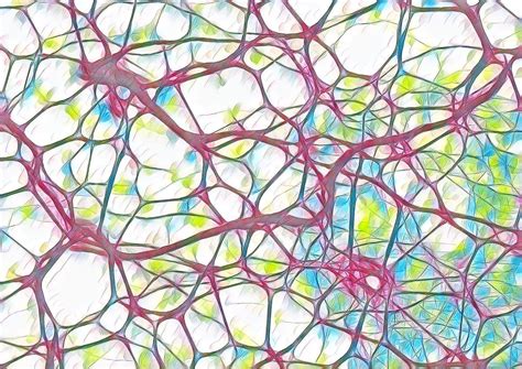 Preventing Deep Neural Network From Overfitting By Piotr Skalski Towards Data Science