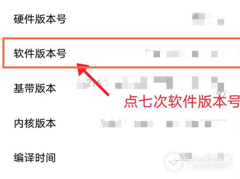 Vivoy77e在哪进入开发者模式vivoy77e的开发者模式如何进入vivo之家