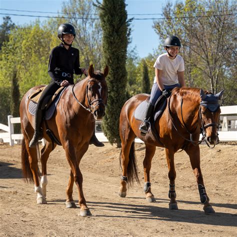 Peacock Hill Equestrian Center Peacockhillequestriancenter