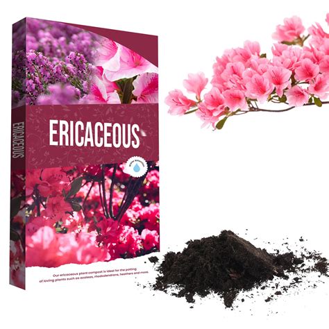 20l Ericaceous Special Formula Soil For Growing Camellia Azalea Rhod
