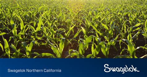 New Core Shell Catalyst For Ethanol Fuel Cells