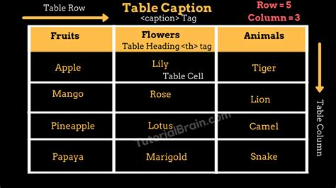 Css Tables — Tutorialbrain