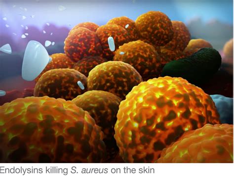 Micreos Initiates Clinical Trial To Evaluate Worlds First Endolysin