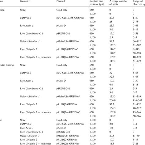 Promoter Reporter Expression Cassette Maps Diagrams Of The Six