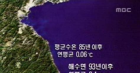 동해 수온 급속 상승