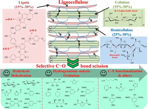 Hemicellulose Structuur