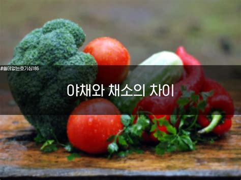 쓸데없는호기심 쓸데없는호기심186 흔히 상추나 당근 양파 배추 등의 식물류 식재료들을 명확한 구분없이 야채 또는 채소라고 부르지만 이 둘은 엄연히 다르다 야채