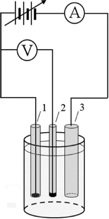 17 1 Schematic Of A Three Electrode Cell 1 Working Electrode 2