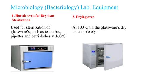 A Lecturer Slides On Bacteriology Show Their Characteristics Ppt