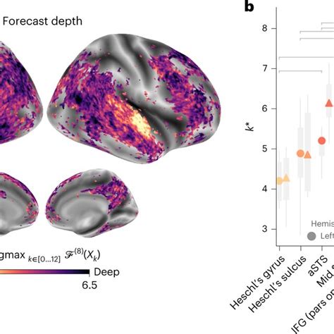 Organization Of Hierarchical Predictions In The Brain A Depth Of The