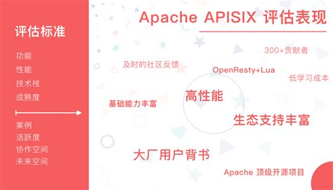 如何借助 Apache Apisix 实现互联网保险领域的流量治理？ 支流科技