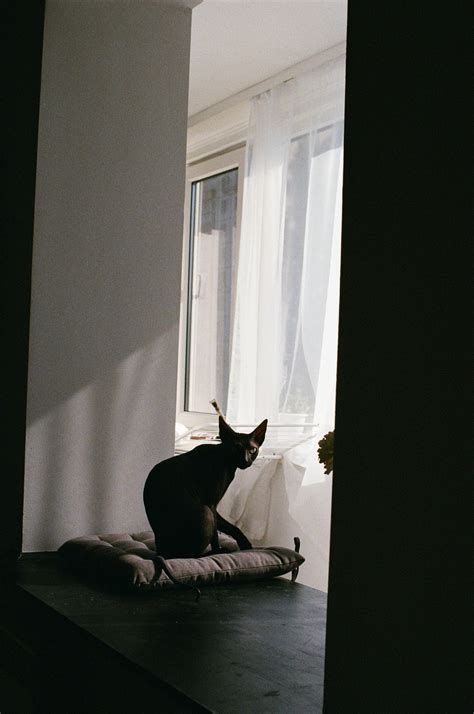Julia Slip — Others Magazine