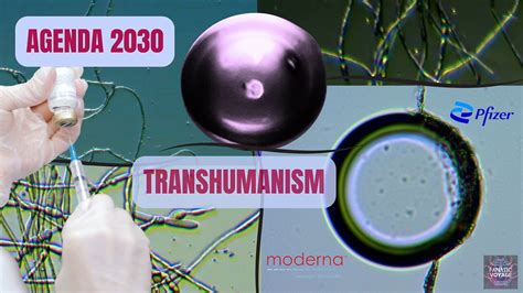 Another Of Pfizers Mrna Vaccine Vials Examined In The Microscope