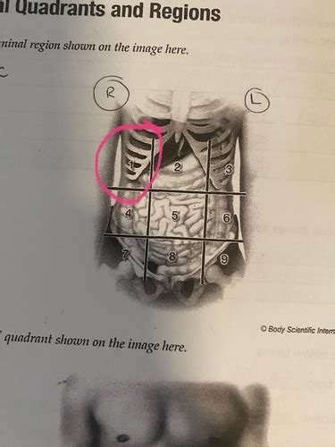 Healthcare Flashcards Quizlet