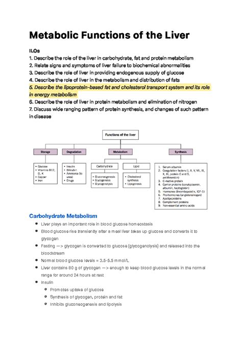 Metabolic Functions Of The Liver M E T A B O L I C F U N C T I O N S O F T H E L I Ve R Ilos