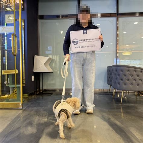 푸들 아침 토이랙돌분양 토이브리티쉬숏헤어분양 토이스코티쉬폴드분양 토이러시안블루분양 토이강아지분양 토이고양이분양 토이비숑프리제입양 토이포메라니안입양 토이말티즈입양 토이말티푸