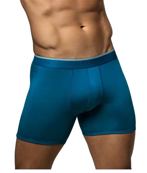 Boxer Briefs Mens Boxer Briefs Underwear Expert Underwear Expert