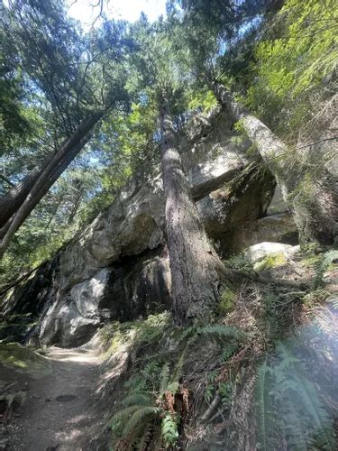 Best Hard Trails In Larrabee State Park Alltrails