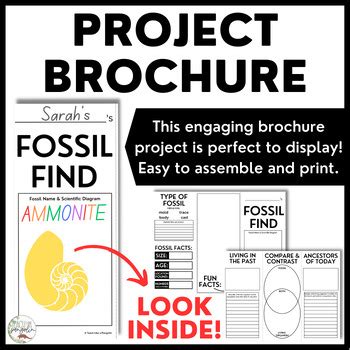 Fossil Research Project Types Of Fossils By Teach Like A Pangolin