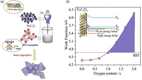A Schematic Illustration Of The Ti 3 C 2 T X Nanosheetsbst Nanoplates Download Scientific