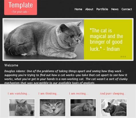 45个免费的html5和css3模板 知更鸟