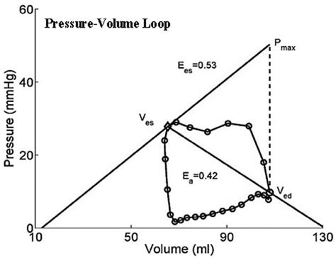 Measure E Es E A Ratio By A Single Pressure Volume Loop Obtained By Download Scientific