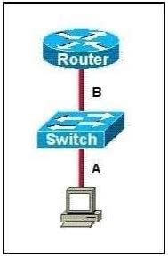 Refer To The Exhibit The Two Connected Ports On The Switch Are Not Turning Orange Or Green
