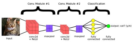 A Gentle Introduction To Image Classification Ml Articles Weights And Biases