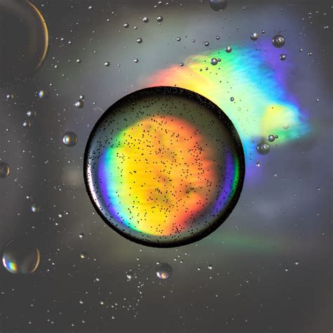 View From A Bubble Living Searching Impermanence By Ward Sexton