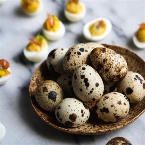 خرید و قیمت تخم بلدرچین ارگانیک تازه بسته 12عددی مستقیم از تولید کننده