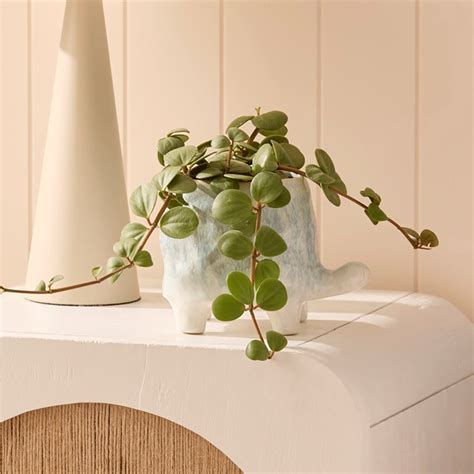 Turtle Reactive Blue Pot Adairs