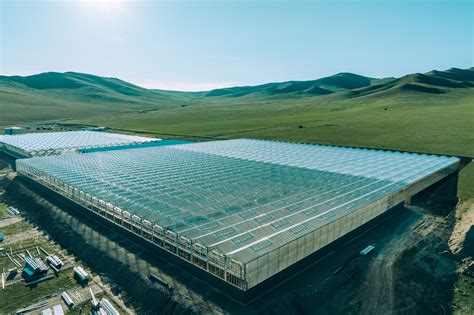 Монголын хамгийн том өвлийн хүлэмжийг ХААН Банкны ногоон зээлийн санхүүжилтээр байгууллаа Isee Mn