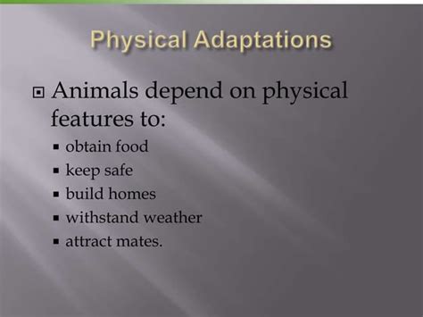 Adaptation And Selective Breeding Pptx
