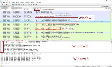 Section 2 Part 1 Sniff From A Network Interface