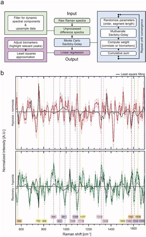Raman Difference Spectra Of Pasmcs Under Distinct Po2 A Data
