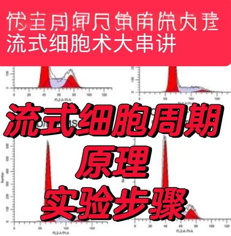 流式细胞术细胞周期实验步骤