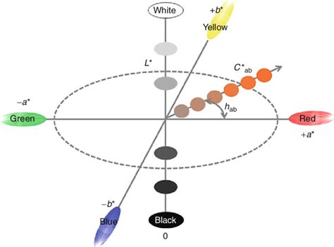 A Schematic Representation Of The Cielab Color Space Download